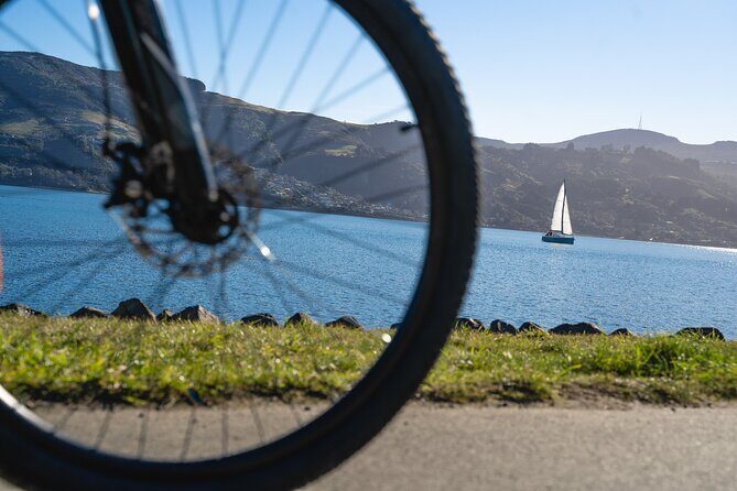 Bike Ferry Portobello to Port Chalmers and Quarantine Island - The Practical Value and Who Will Benefit Most