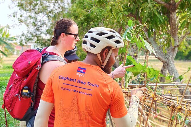 Bike of the Countryside in Siem Reap Half-day Morning - An In-Depth Look at the Siem Reap Countryside Bike Tour