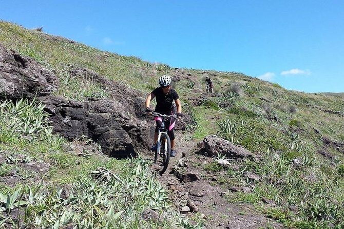 Bike Rental - Key Points