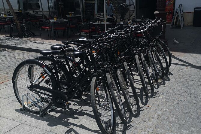 Bike rental day - Who is This Bike Rental Best For?