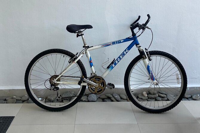 Bike Rental in Isla Mujeres - Why Renting a Bike in Isla Mujeres Makes Sense