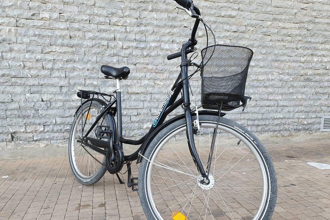 Bike Rental in Malaga - Who will love this?