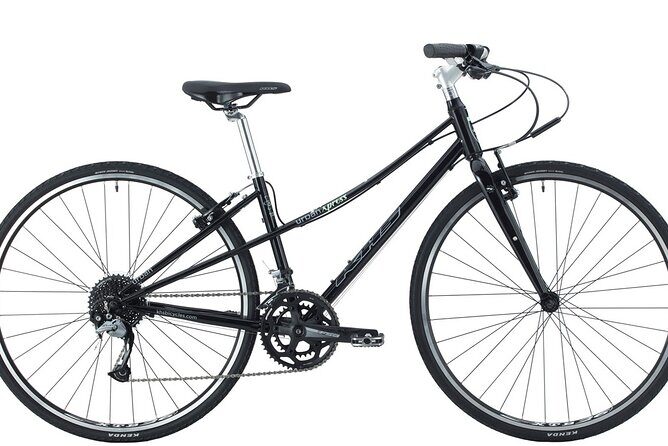 Bike Rental in South Lake Tahoe - Trail Options and Scenic Highlights