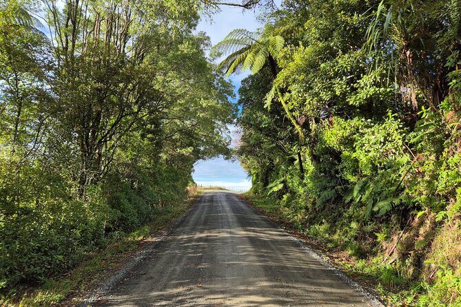 Bike Rental in Waitomo Caves - Exploring Waitomo’s Hidden Charms on an E-Bike Tour