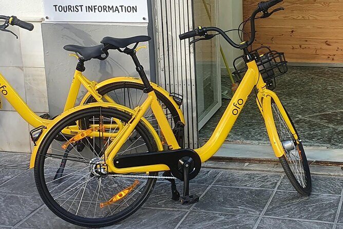 Bike Rental per Day in Seville - What to Expect When You Rent Your Bike
