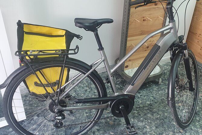 Bike Rental per Day in Seville - Practical Details and What to Keep in Mind