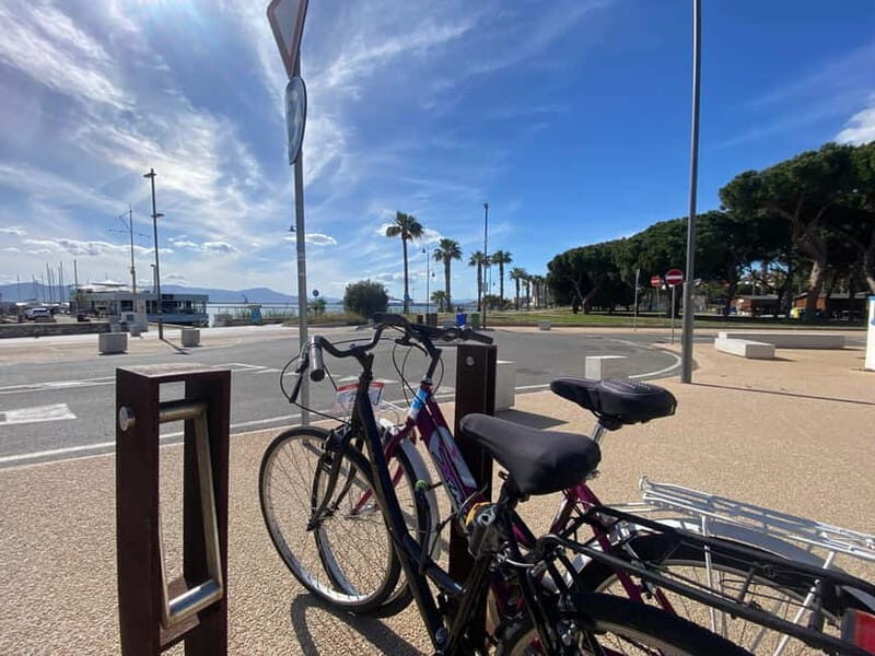 Bike rental: Port of Cagliari, Su Siccu, Nervi Park, Molentargius - Key Points