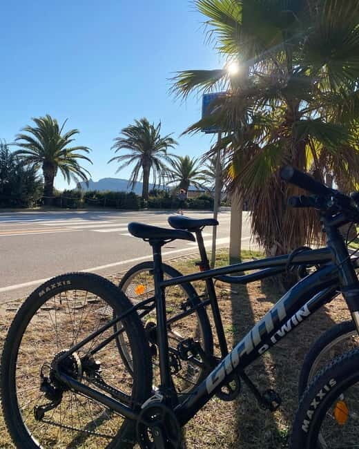 Bike rental: Port of Cagliari, Su Siccu, Nervi Park, Molentargius - Who Will Enjoy This Experience?