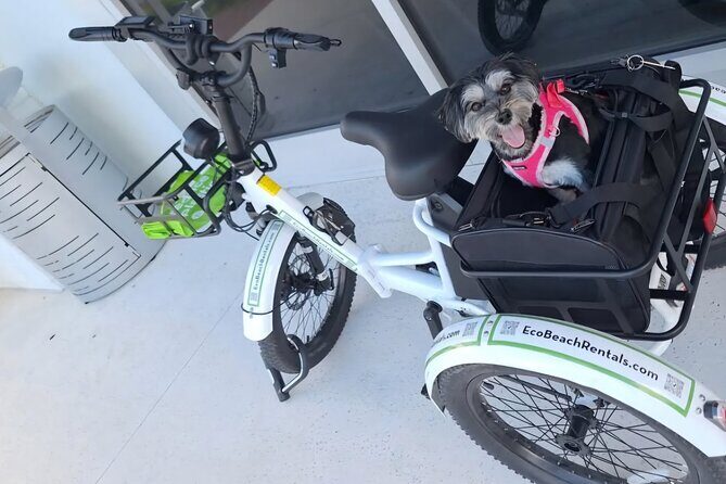 Bike Ride Through Ponte Vedra Beach Private Tour Florida - Introduction