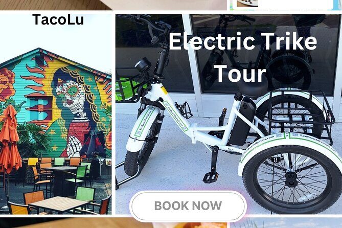 Bike Ride Through Ponte Vedra Beach Private Tour Florida - Key Points