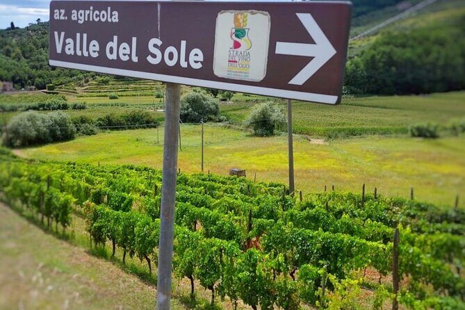 Bike Ride & WIne Tasting - Frequently Asked Questions