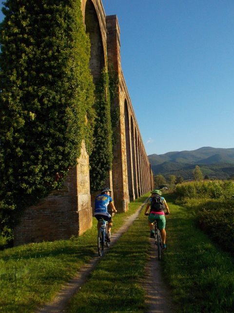 Bike Self-Tour in the Lucca Countryside and Green Landscapes - Exploring Lucca’s Countryside by Bike