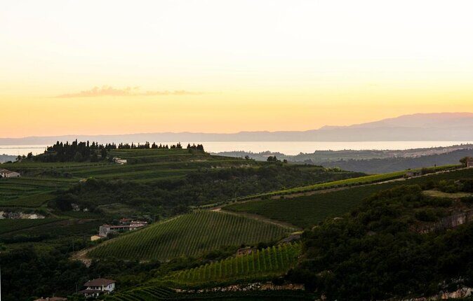 Bike Station Valpolicella: E-bike tour & Amarone Tasting - Introduction