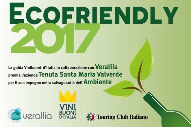 Bike Station Valpolicella: E-bike tour & Amarone Tasting - Authentic and Memorable Highlights