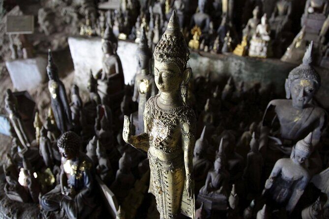 Bike to Pak Ou Caves and boat trip back to Luang Prabang City full day - A Clever Mix of Active and Cultural Discovery