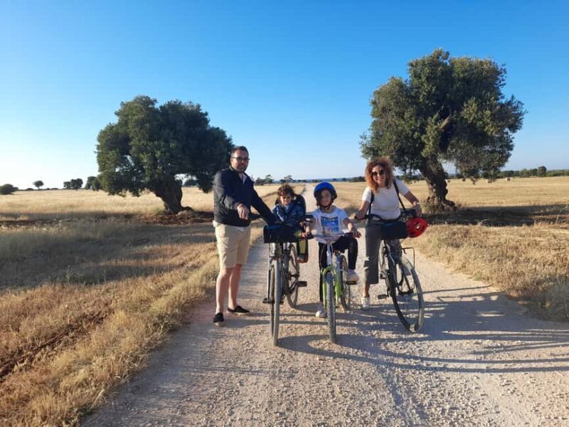Bike Tour among the Ancient Olive Trees with EVO Oil Tasting - Key Points