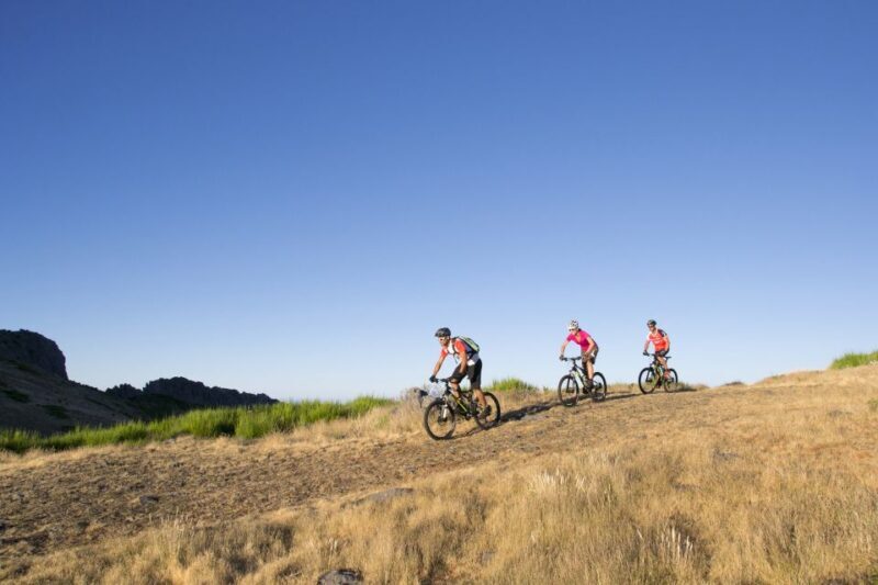BIKE TOUR - BOTANICAL LEVELS OF MADEIRA, TRAIL EXPERIENCE - Key Points