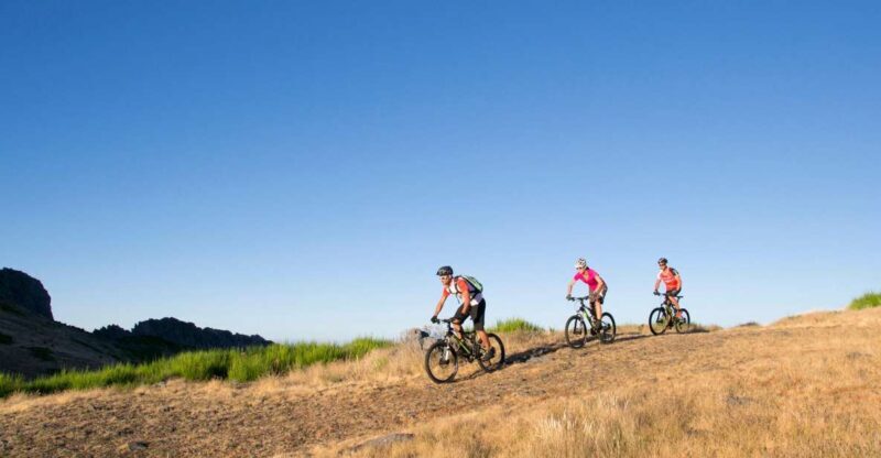 BIKE TOUR - BOTANICAL LEVELS OF MADEIRA, TRAIL EXPERIENCE - Who Is This Tour Best For?