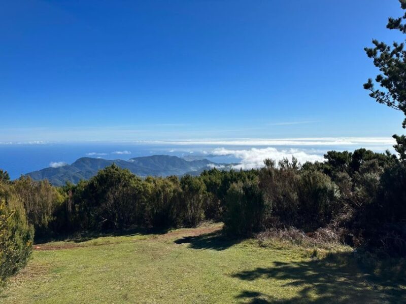 BIKE TOUR - BOTANICAL LEVELS OF MADEIRA, TRAIL EXPERIENCE - Final Thoughts