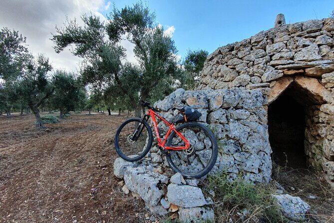 Bike Tour in the Alta Murgia National Park (Pulo of Altamura) - FAQs