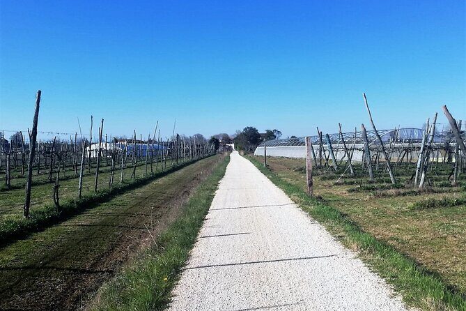 Bike tour with honey and artichockes on SantErasmo island - Final Thoughts