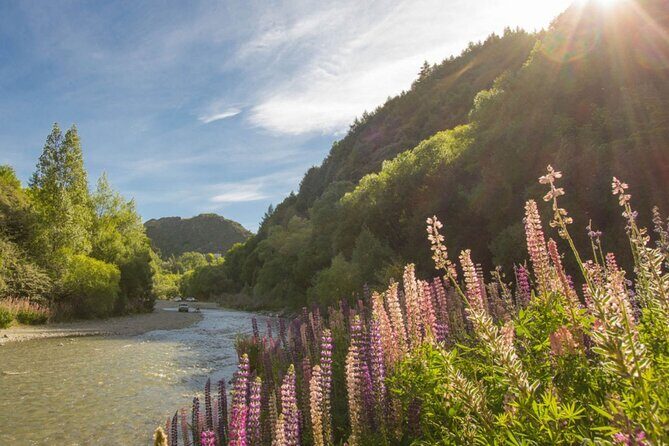 Bike & Wine Tour: Arrowtown to Valley of the Vines - The Value of the Tour