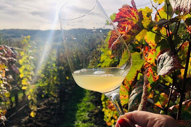 Bike & Wine tour in Dealu Mare wineland - An Overview of the Experience