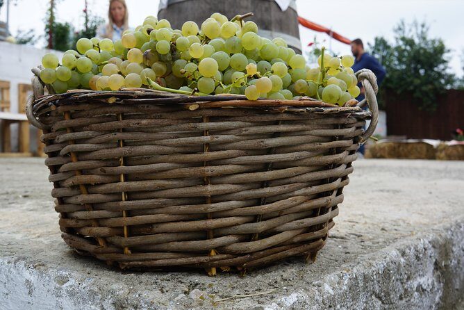 Bike & Wine tour in Dealu Mare wineland - The Value of This Tour