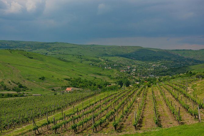 Bike & Wine tour in Dealu Mare wineland - Authentic Feedback and Insights