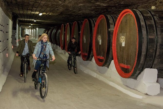 Biking a Guinness Book Winery - Who is this tour ideal for?