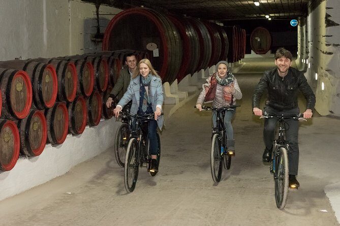 Biking a Guinness Book Winery - The journey into Milestii Mici