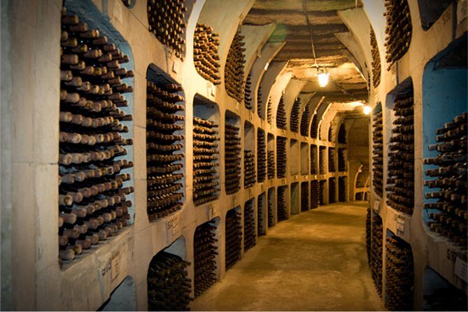 Biking a Guinness Book Winery - Logistics and practicalities