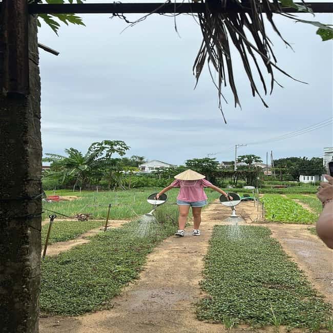 Biking, Eco Basket Boat Ride &Cooking Class in Tra Que - An Overview of the Experience
