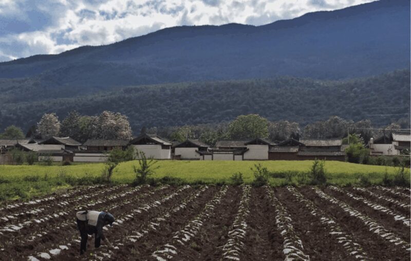 Biking tour&guide visit Lijiang baisha village market park - FAQs