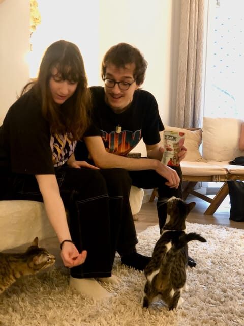 Bilbao: 30-Minute Entry Ticket to a Cat Café - Who Will Love This Experience?