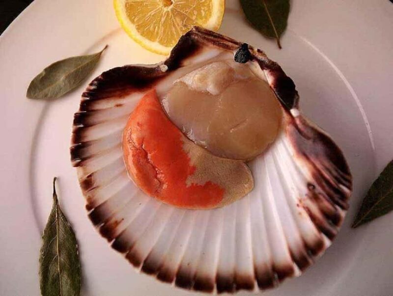 Bilbao: Guggenheim Secrets & Savor the Seas Treasures. VIP - The Reviews and What They Tell Us