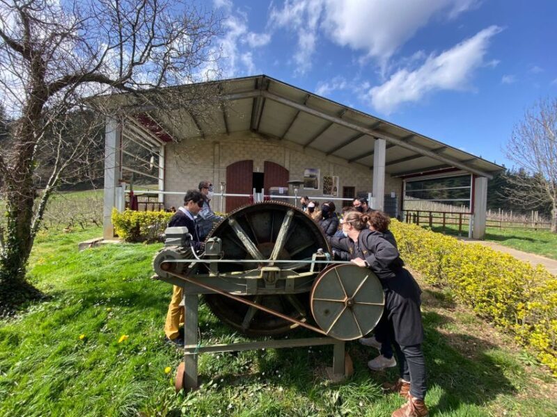 Bilbao: Guided Txacoli Wine Tasting - Key Points