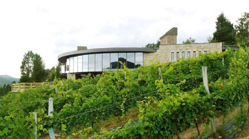 Bilbao: Organic Winery Visit with Tasting - Discover the Best of Bilbao’s Organic Winery Scene