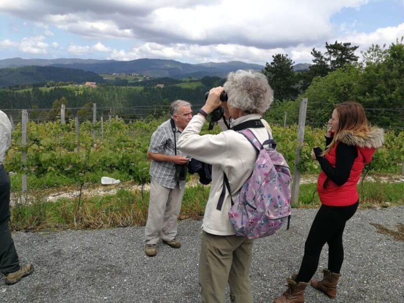 Bilbao: Organic Winery Visit with Tasting - Why This Tour Offers Good Value
