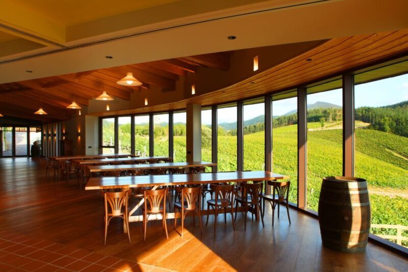 Bilbao: Organic Winery Visit with Tasting - Who Will Love This Tour?