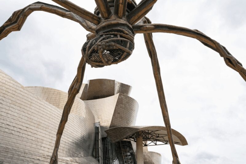 Bilbao: Skip-the-Line Guggenheim Museum Guided Tour - Practical Details: Making Your Visit Smooth