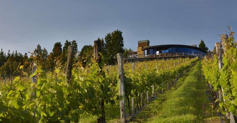 Bilbao Txakoli Wine Tour - Introduction: Why This Tour Stands Out