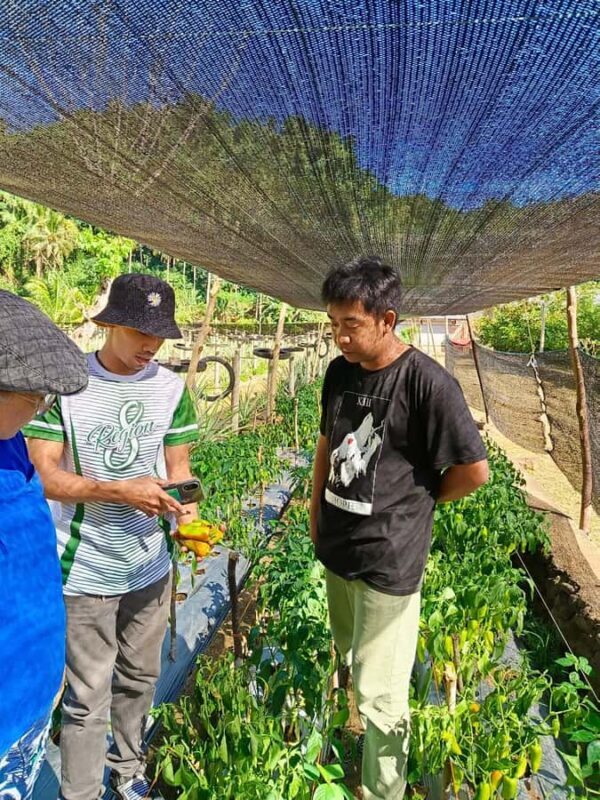 Biliran: 6 days 5 nights with hotel, tour and island hopping - Who Should Consider This Tour?