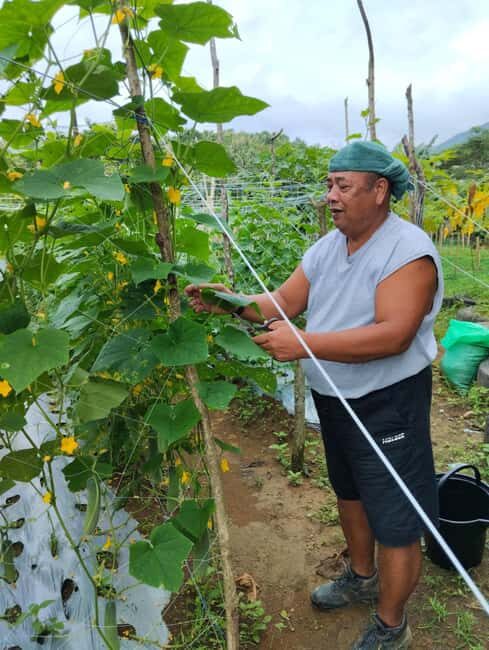 Biliran: Waterfalls & Nature Escape with lunch - Exploring Biliran’s Natural Wonders: An In-Depth Review