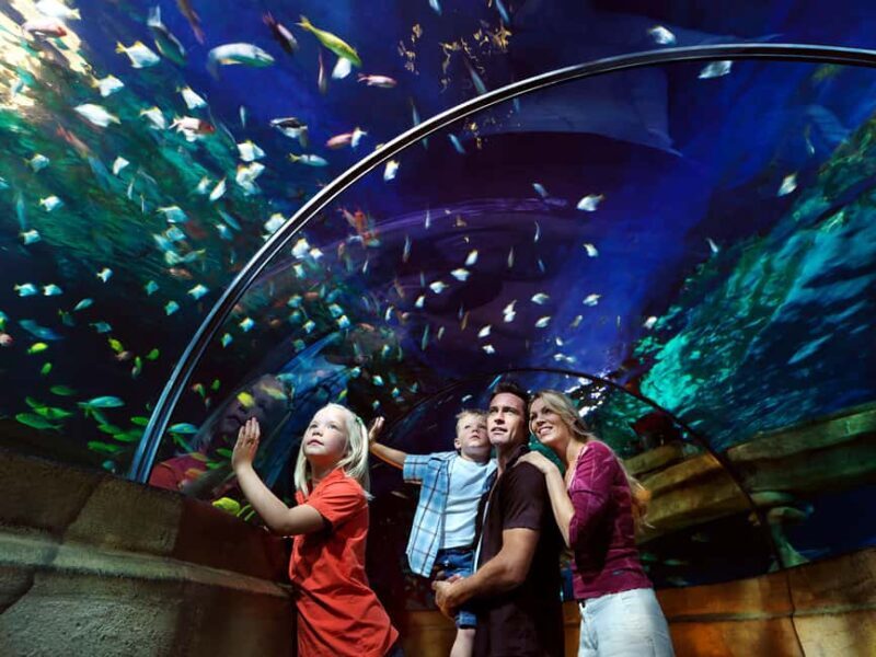 Billund: 1-Day Ticket to LEGOLAND® with All Rides Access - LEGO® Movie World and Imagination Zone – Pop Culture Meets Creativity