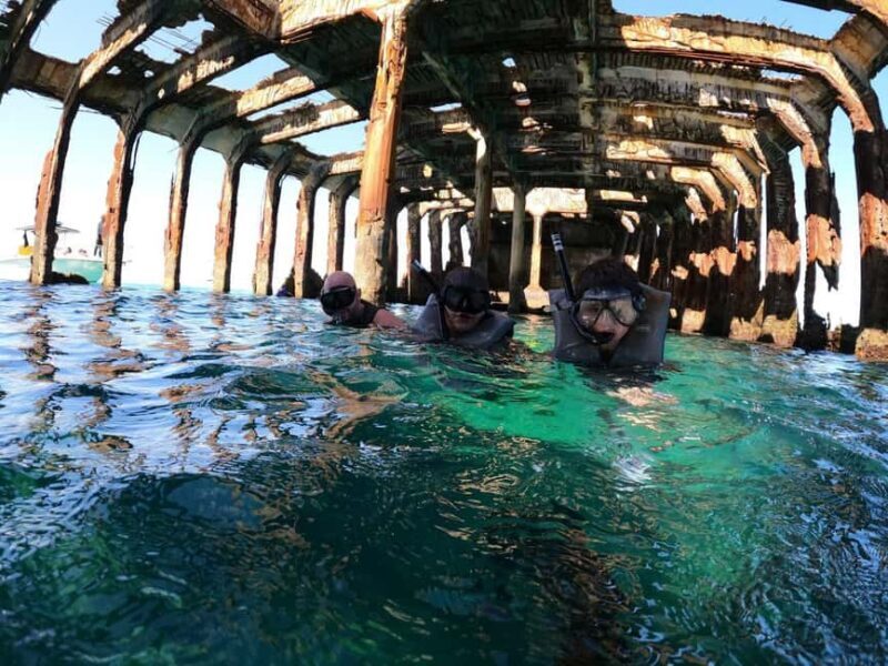 Bimini: 4-Stop Snorkeling Adventure - An In-Depth Look at the 4-Stop Snorkeling Experience