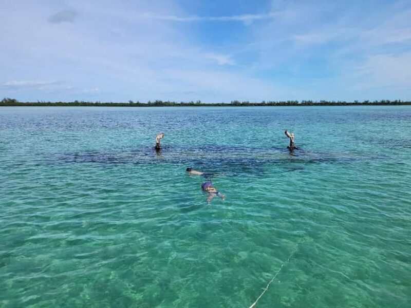 Bimini: 4-Stop Snorkeling Adventure - Practical Tips for Travelers