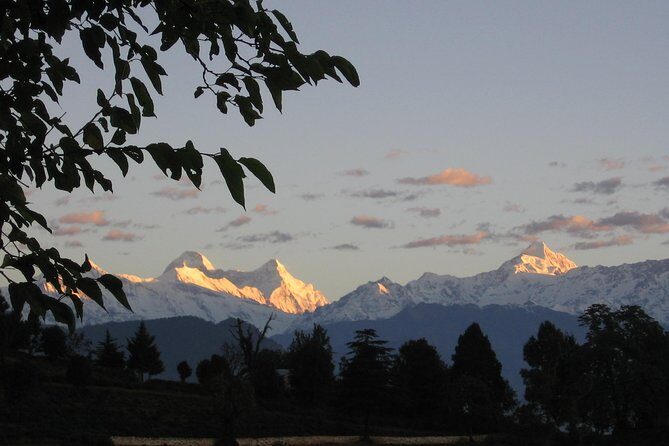 Binsar Sanctuary Walking Holiday - Binsar Sanctuary Walking Holiday: A Refreshing Himalayan Escape