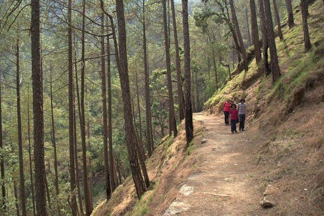Binsar Sanctuary Walking Holiday - Key Points
