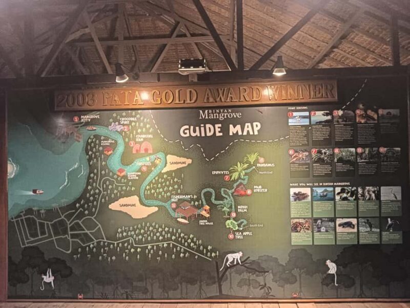 Bintan Car rent with Driver - Practical Tips for Travelers